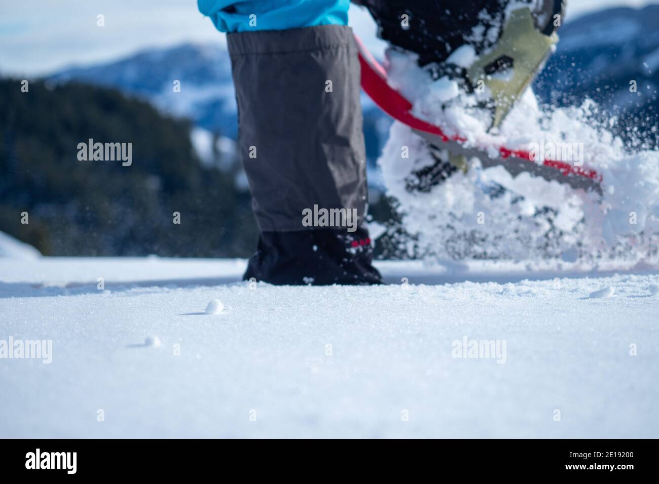 Detail view of a moving snow shoe in deep snow Stock Photo - Alamy