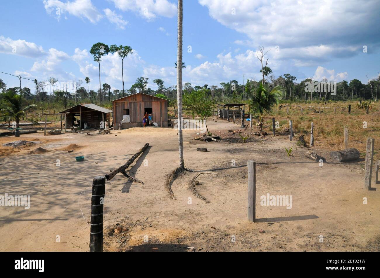 Amazon rainforest deforestation brazil hi-res stock photography and ...