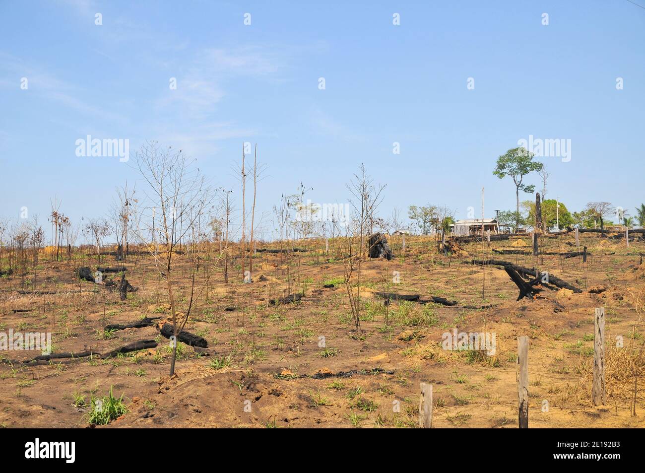 Amazon rainforest deforestation brazil hi-res stock photography and ...