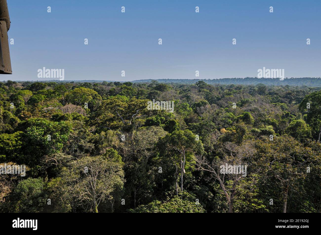 Aerial view of the Brazilian rainforest Stock Photo - Alamy