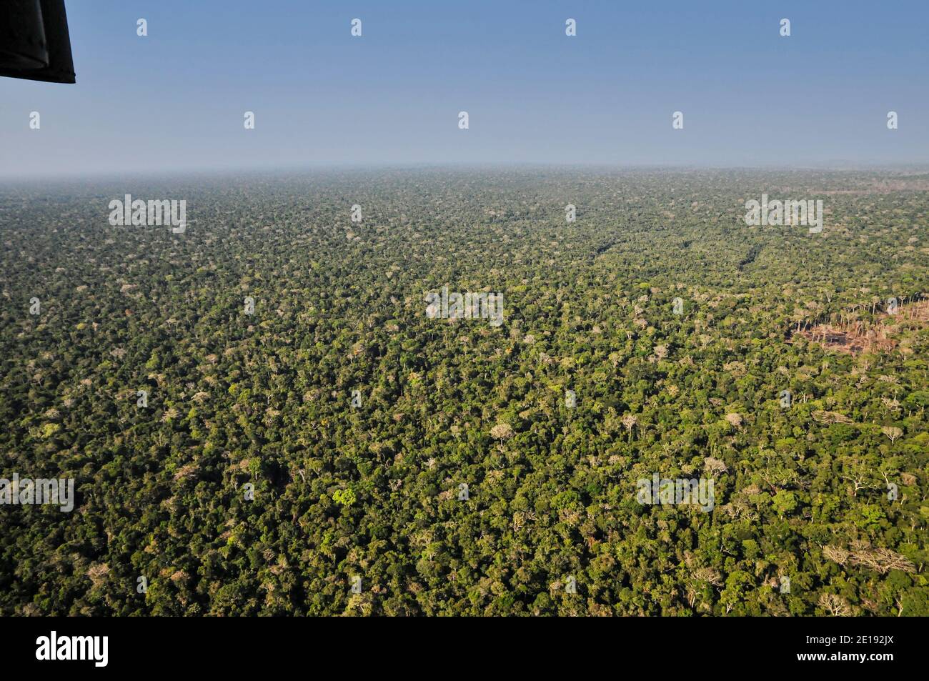 Amazon rainforest birds eye view hi-res stock photography and images ...