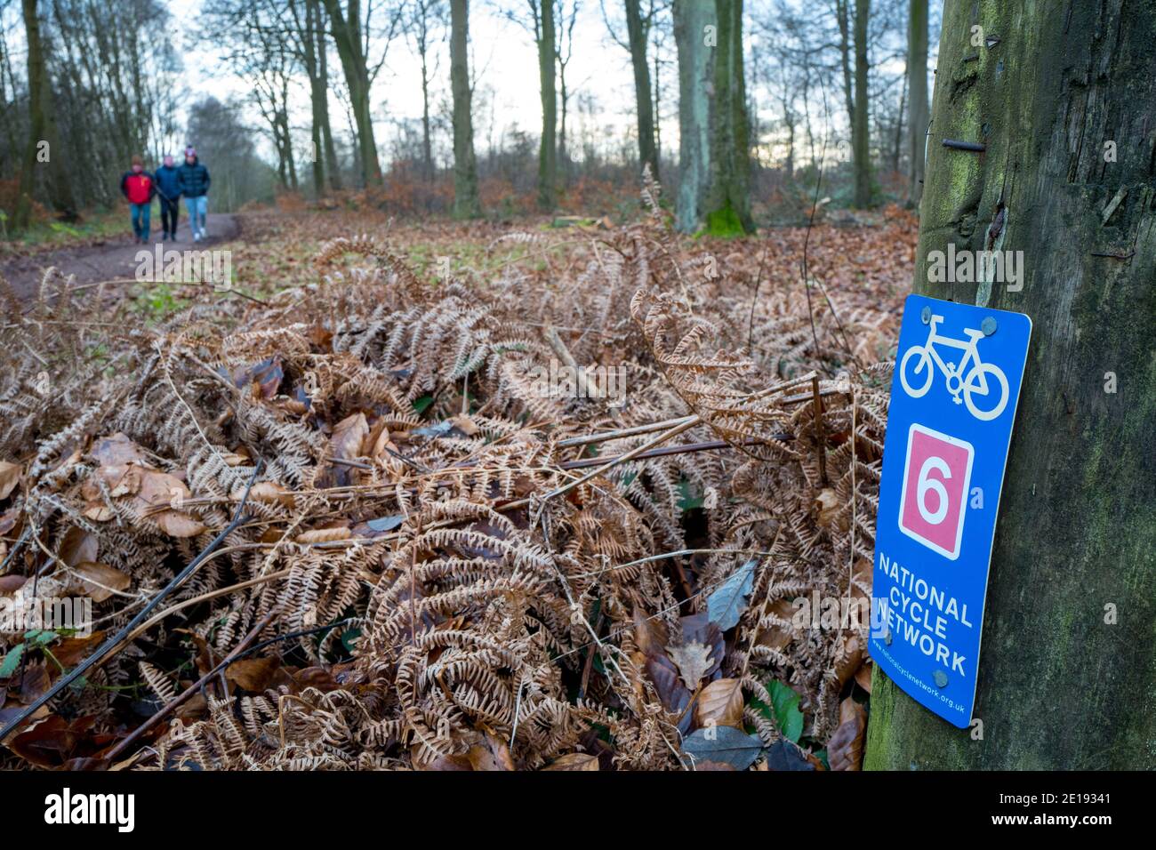 Cycle network route hi-res stock photography and images - Alamy