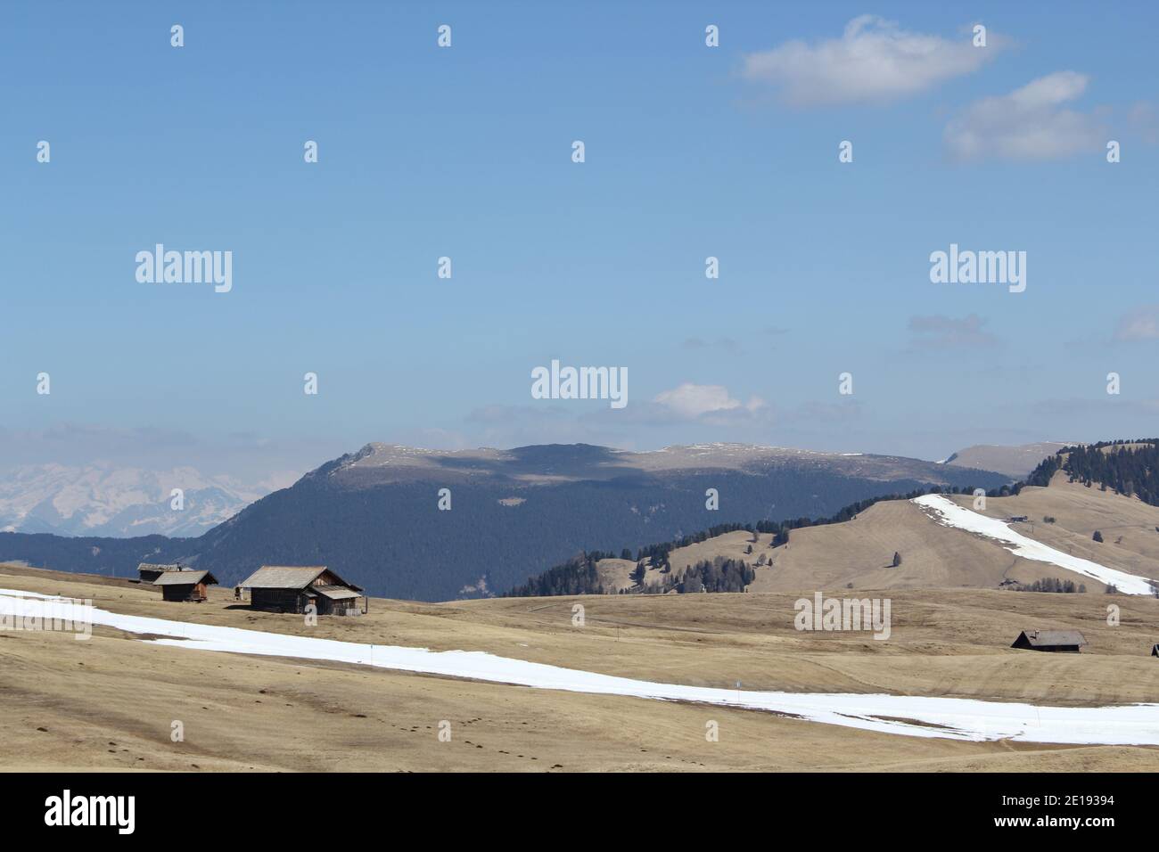 Alm tree hi-res stock photography and images - Alamy