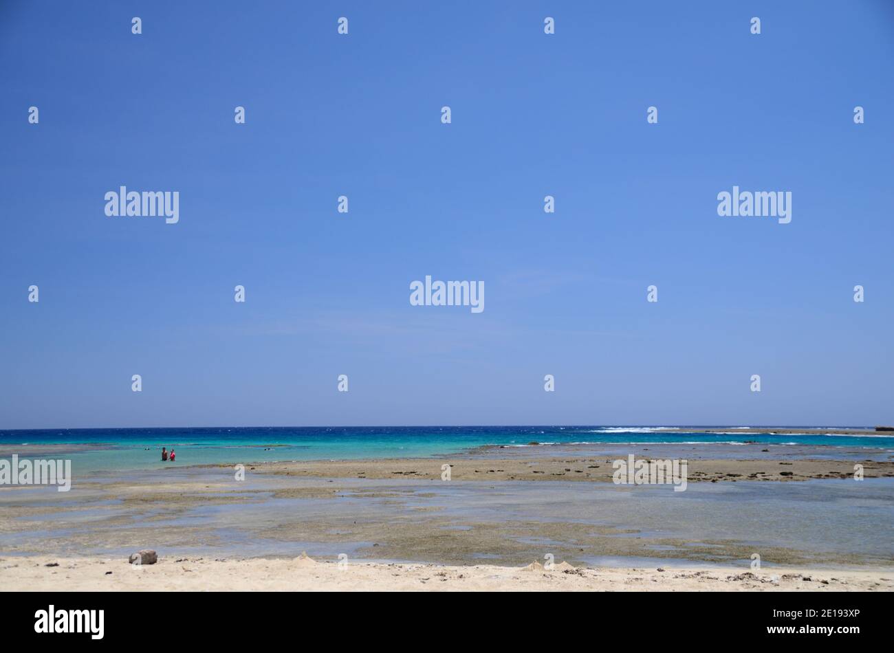 fine sand beach with coral reef on the sea Stock Photo - Alamy