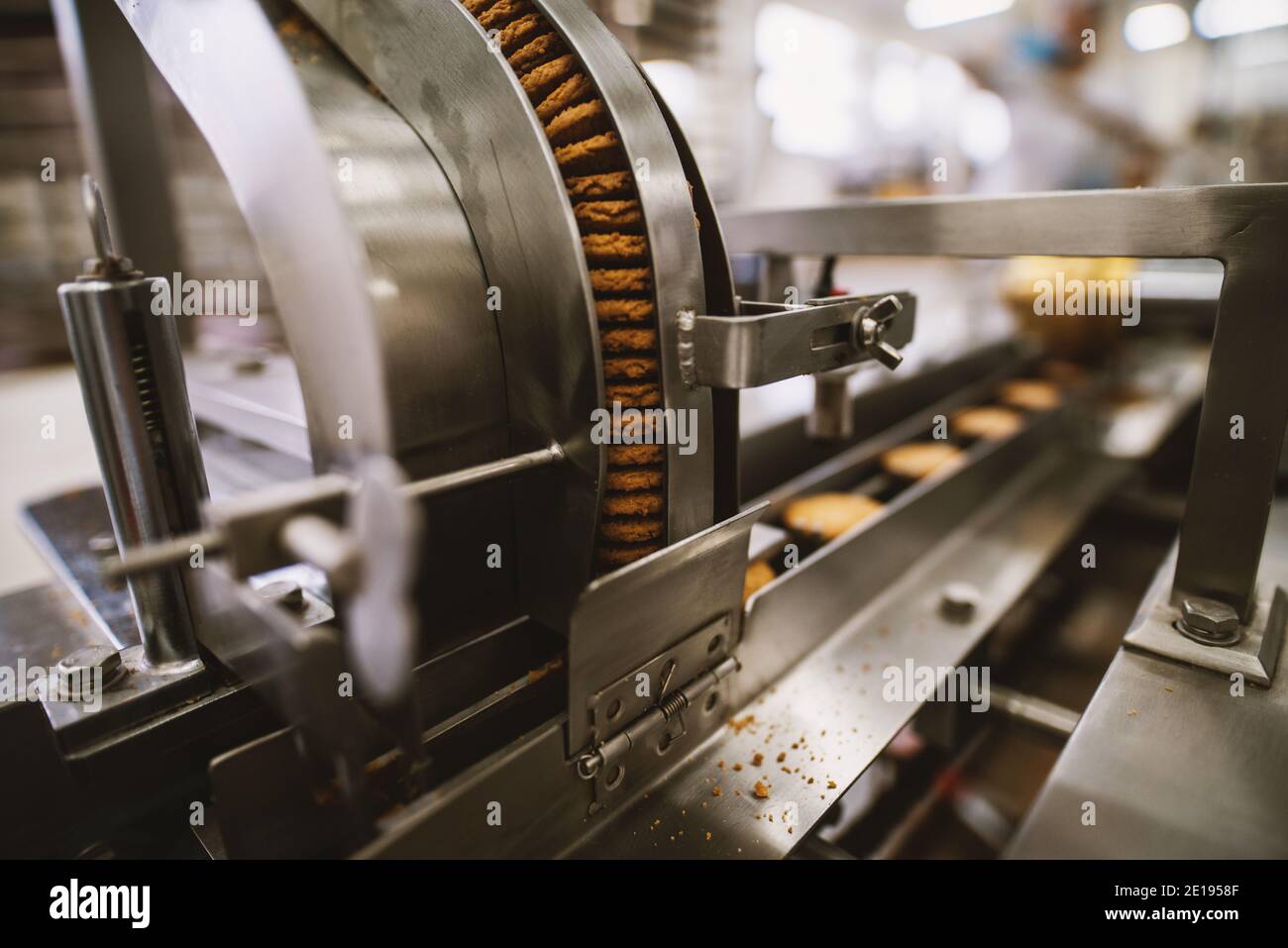 Cookie factory, food industry. Fabrication. Cookie production Stock ...