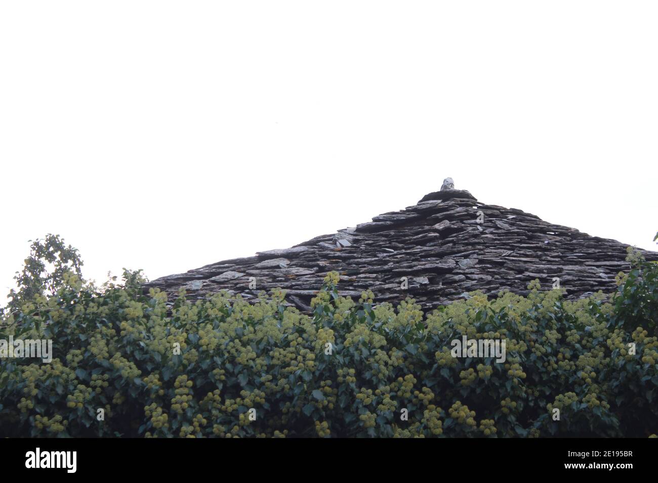 Slate point hi-res stock photography and images - Alamy