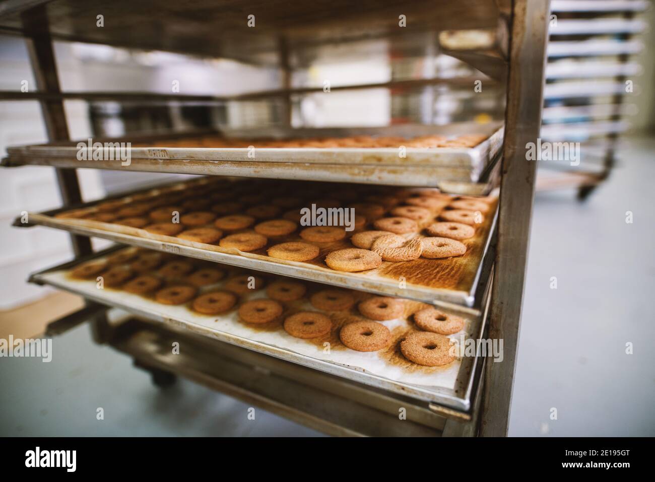 Cookie factory, food industry. Fabrication. Cookie production Stock ...