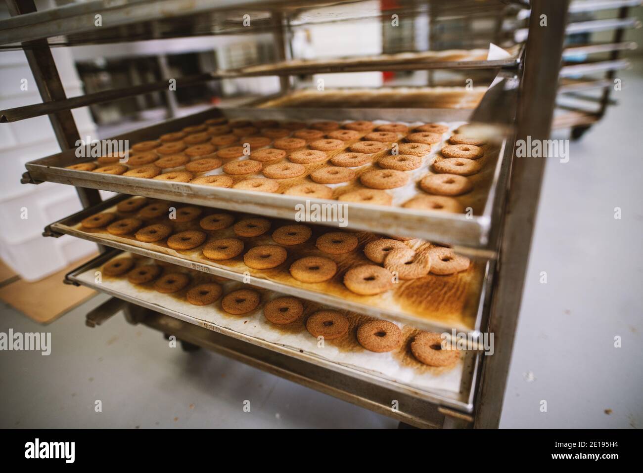 Cookie factory, food industry. Fabrication. Cookie production Stock ...