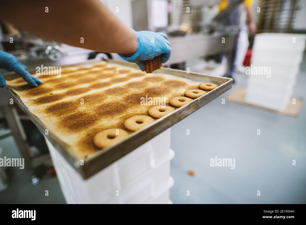 Cookie factory, food industry. Fabrication. Cookie production Stock ...