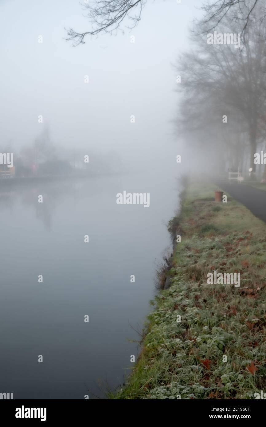 Fog trees scenic dawn light at night water park hi-res stock ...