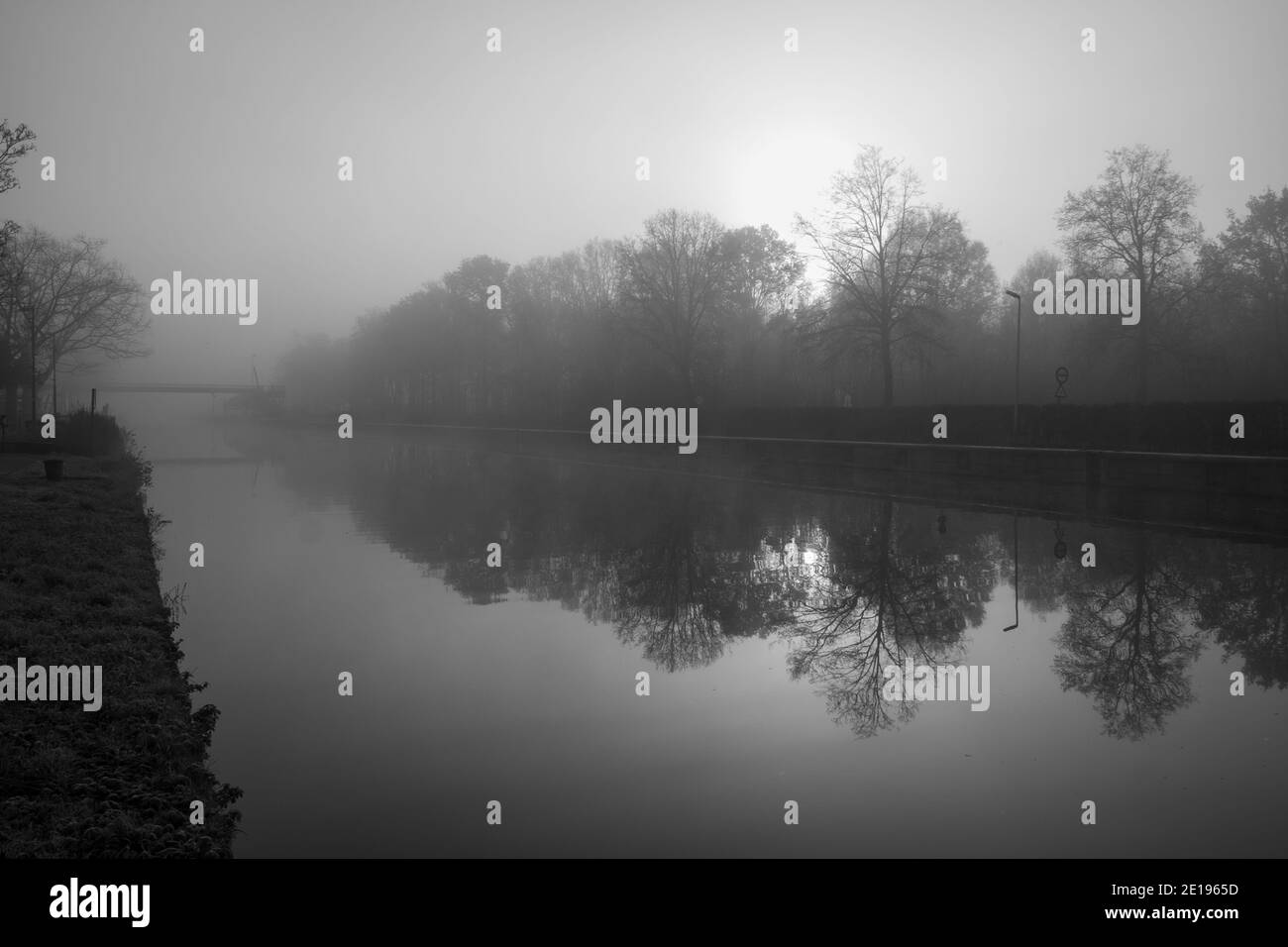 Fog trees scenic dawn light at night water park hi-res stock ...