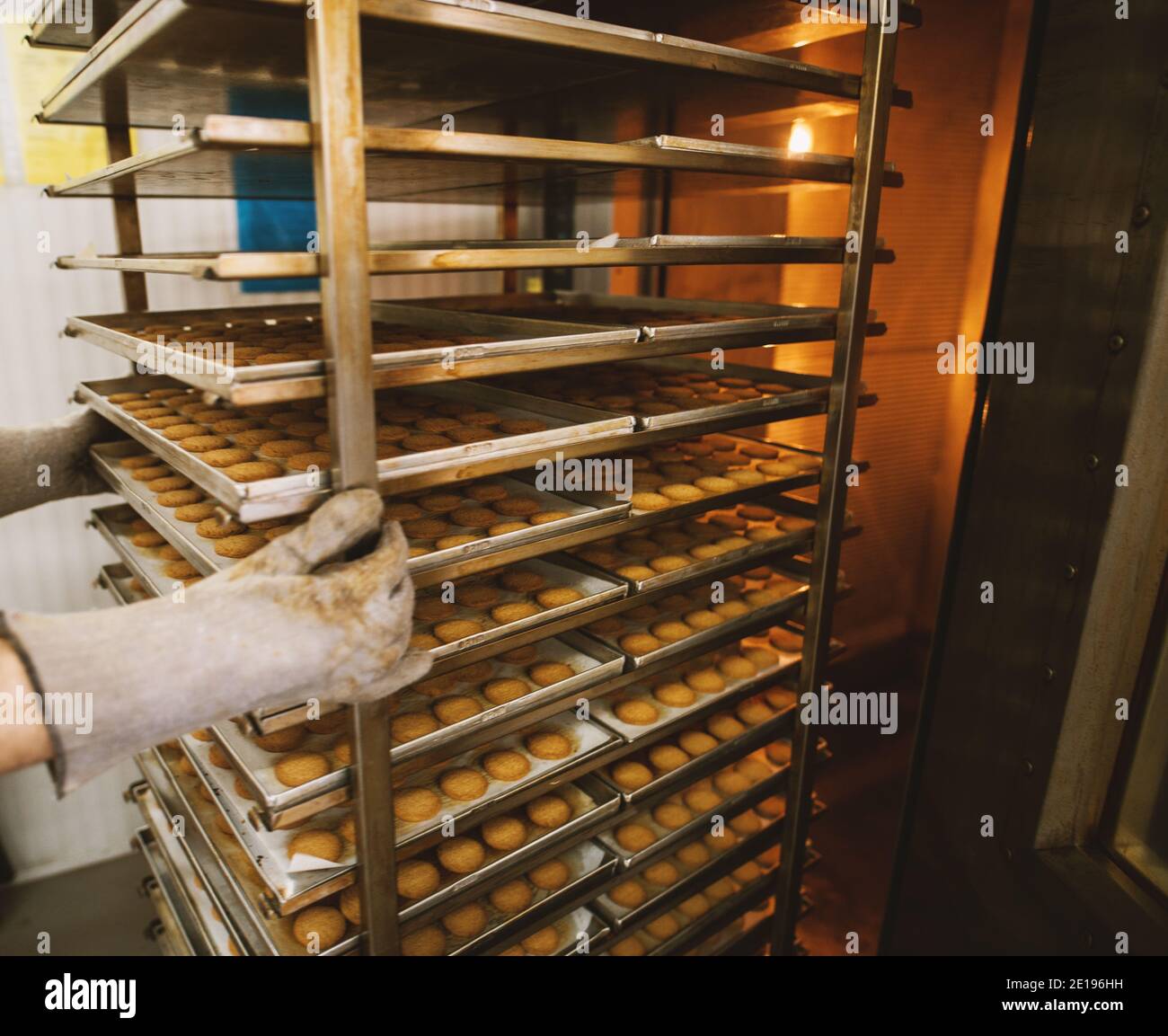 Cookie factory, food industry. Fabrication. Cookie production Stock ...