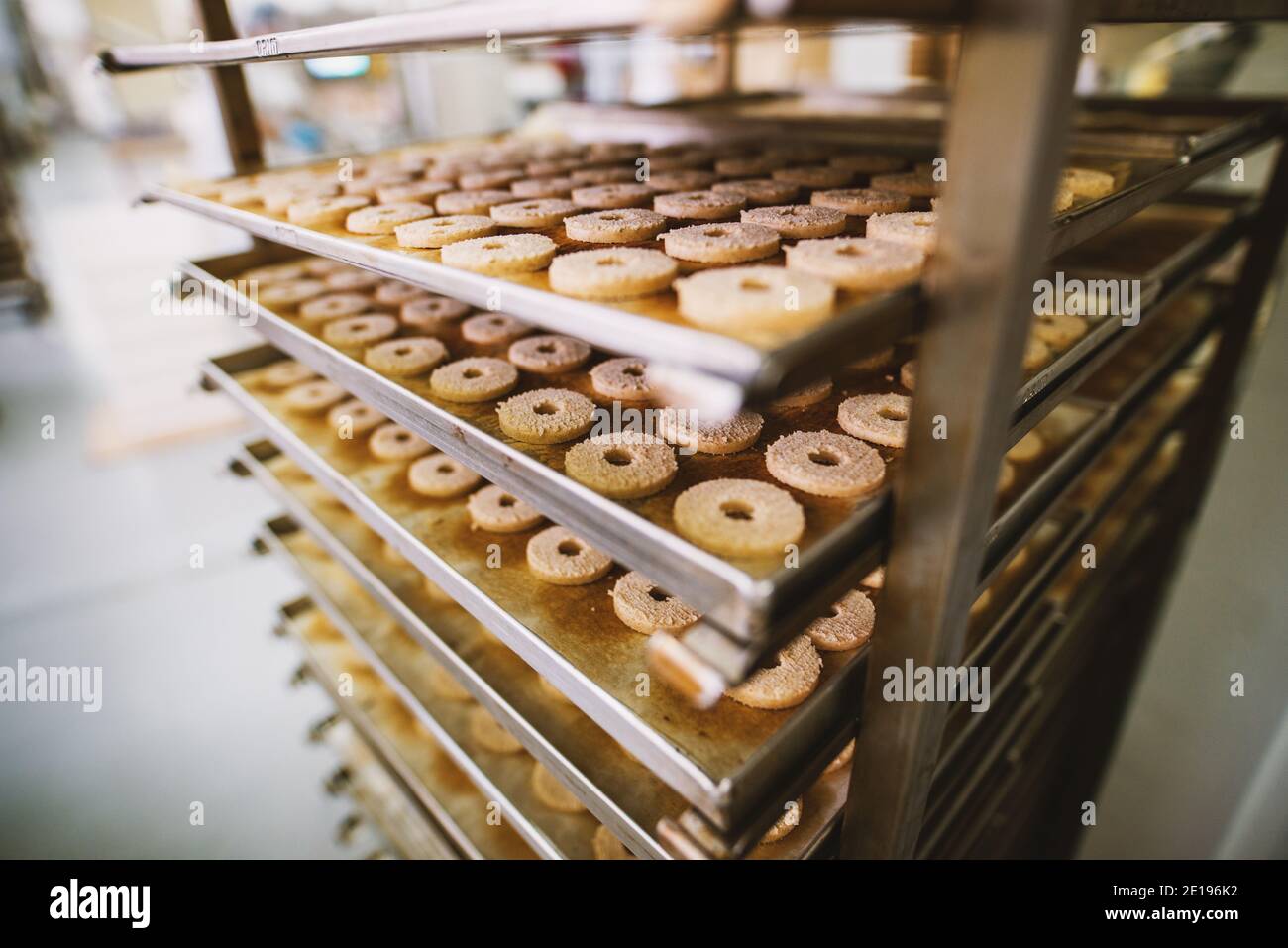 Cookie factory, food industry. Fabrication. Cookie production Stock ...