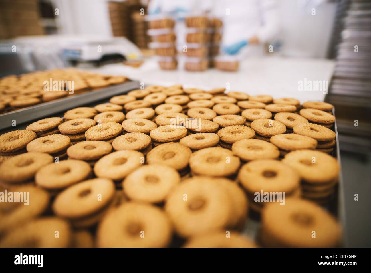 Cookie factory, food industry. Fabrication. Cookie production Stock ...