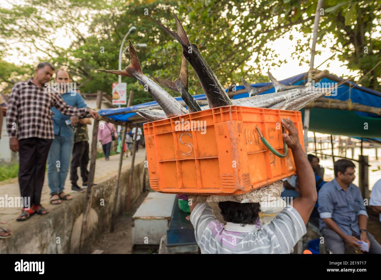 Cochin, India - February 1, 2020: Unidentified Indian fisherman carry ...