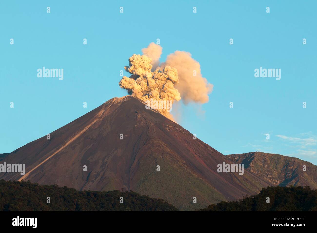 Reventador Volcano erupting at dawn, August 2016. The mountain is ...