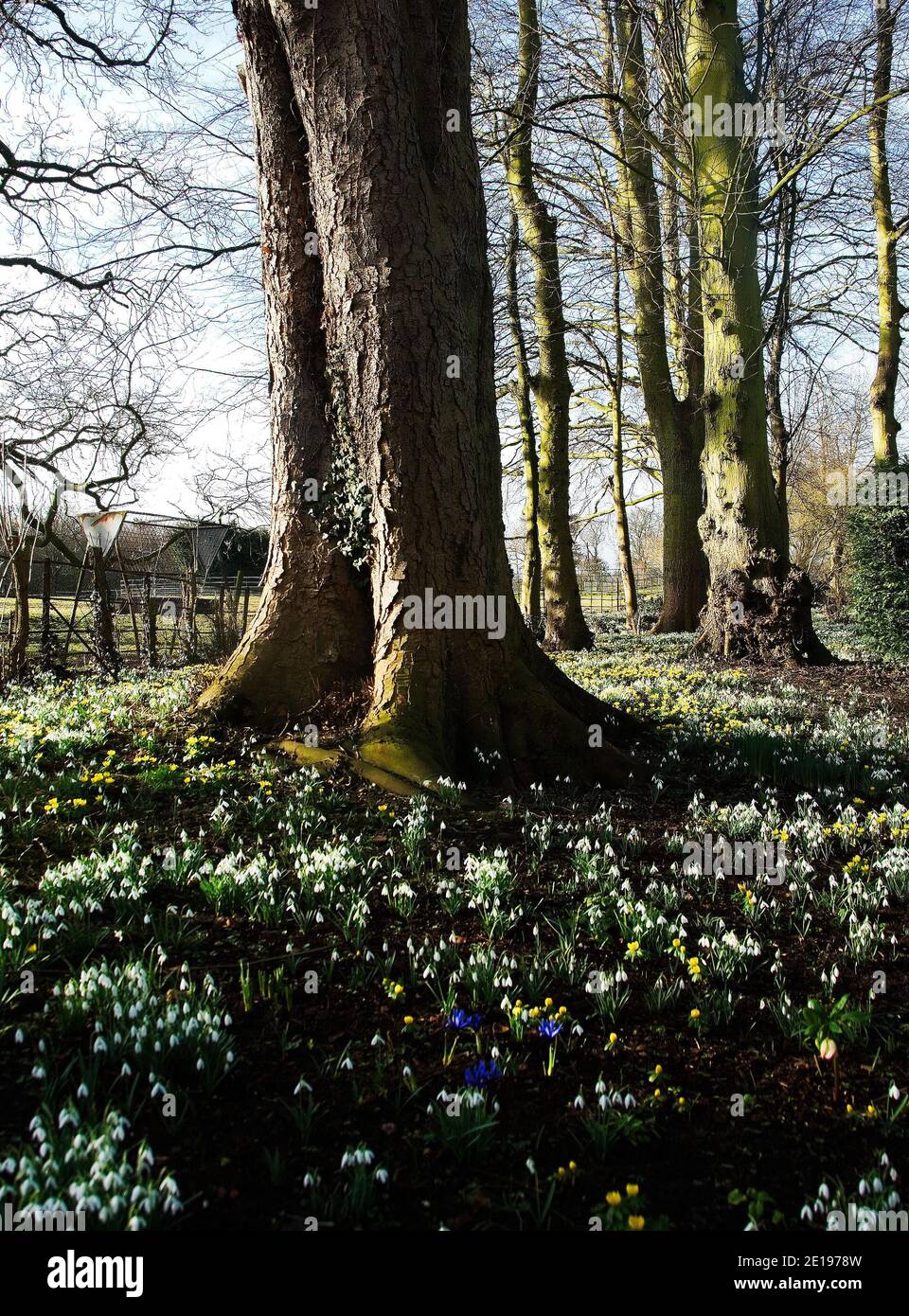 Little ponton hi-res stock photography and images - Alamy