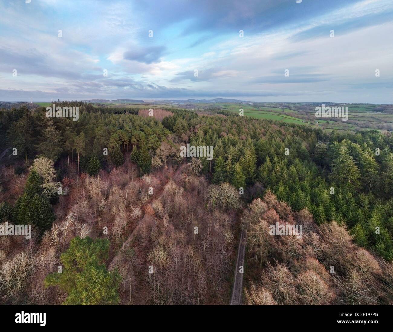 Aerial view of ladock woods in cornwall England uk drone shot Stock ...