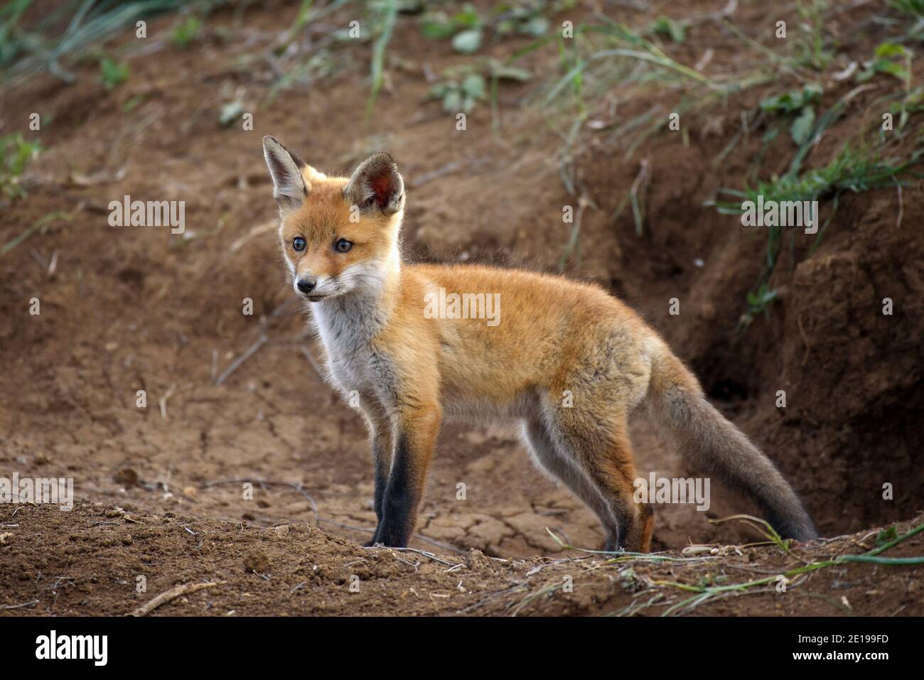 Hunts hole hi-res stock photography and images - Alamy