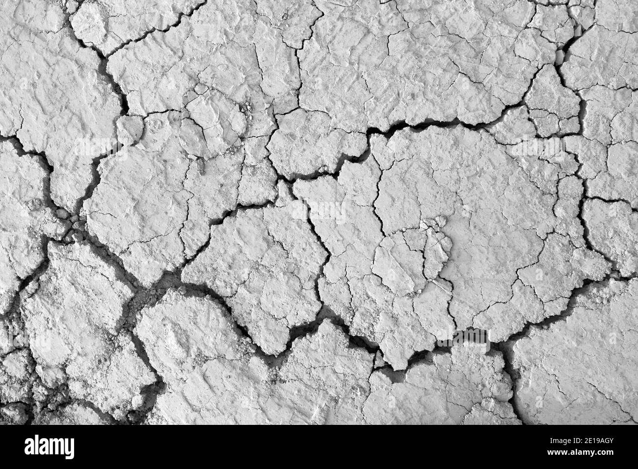 Ground Crack Texture