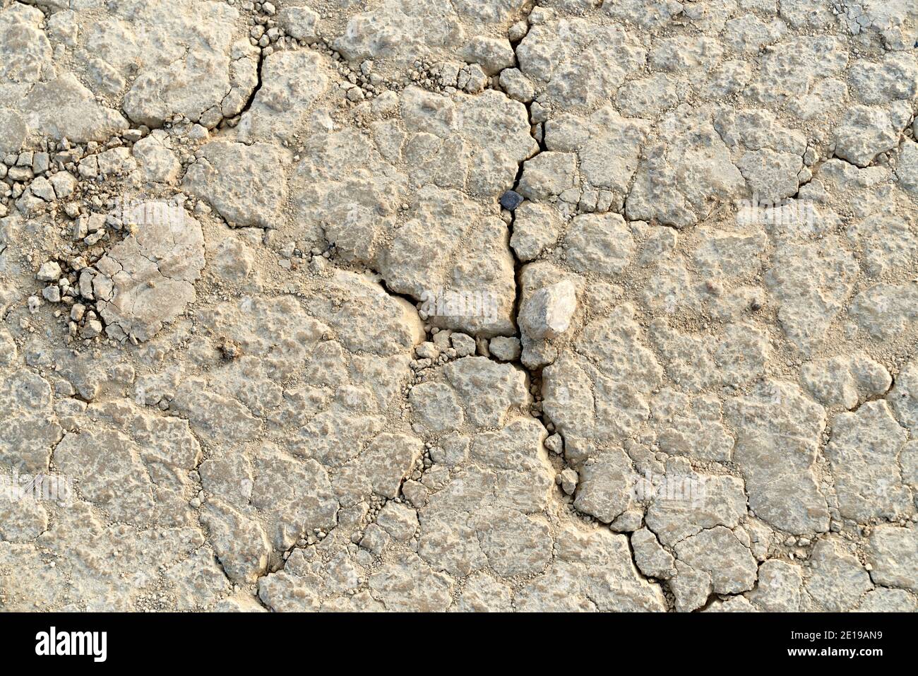 Crevice ground hi-res stock photography and images - Alamy