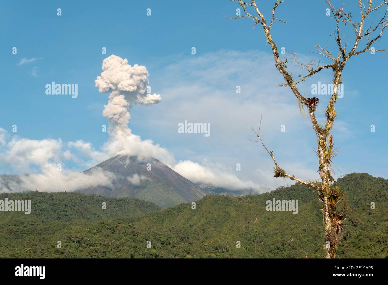 Reventador Volcano erupting, November 2015. The mountain is situated in ...