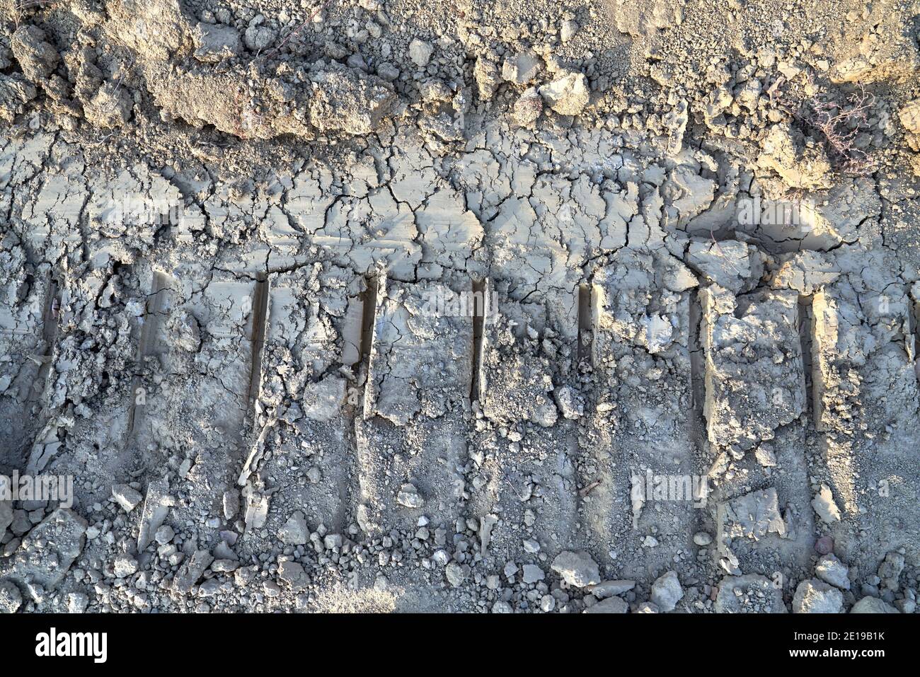 Texture ground with mud in gray colour. Concept of soil with prints ...