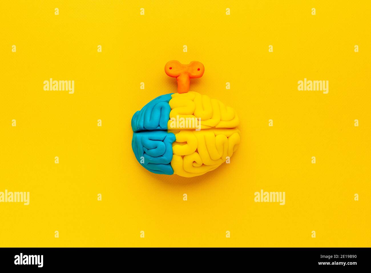 Brain charging and mental health concept. Model of human brain, top ...