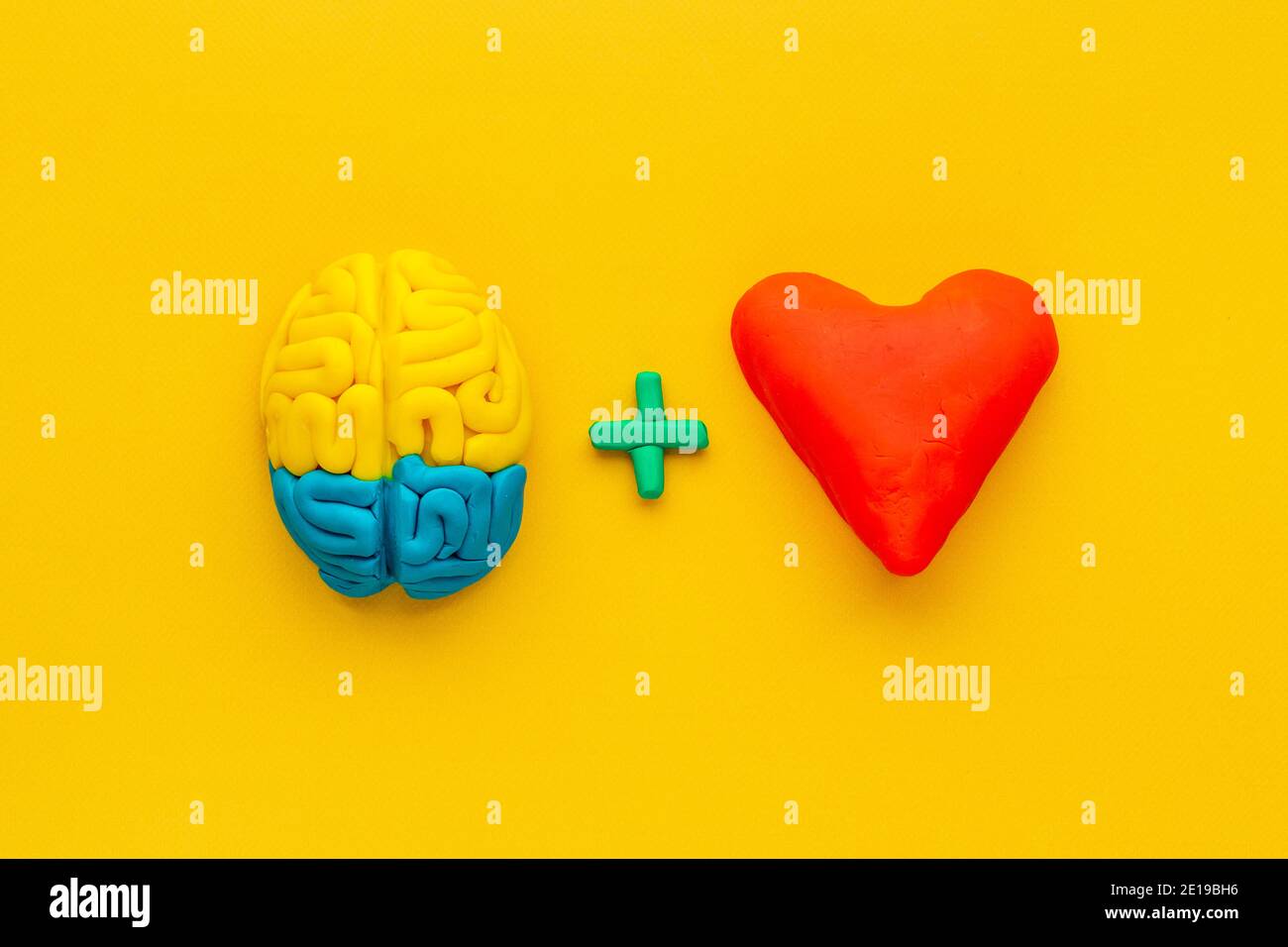 Heart and brain connection. Emotional intelligence concept Stock Photo ...