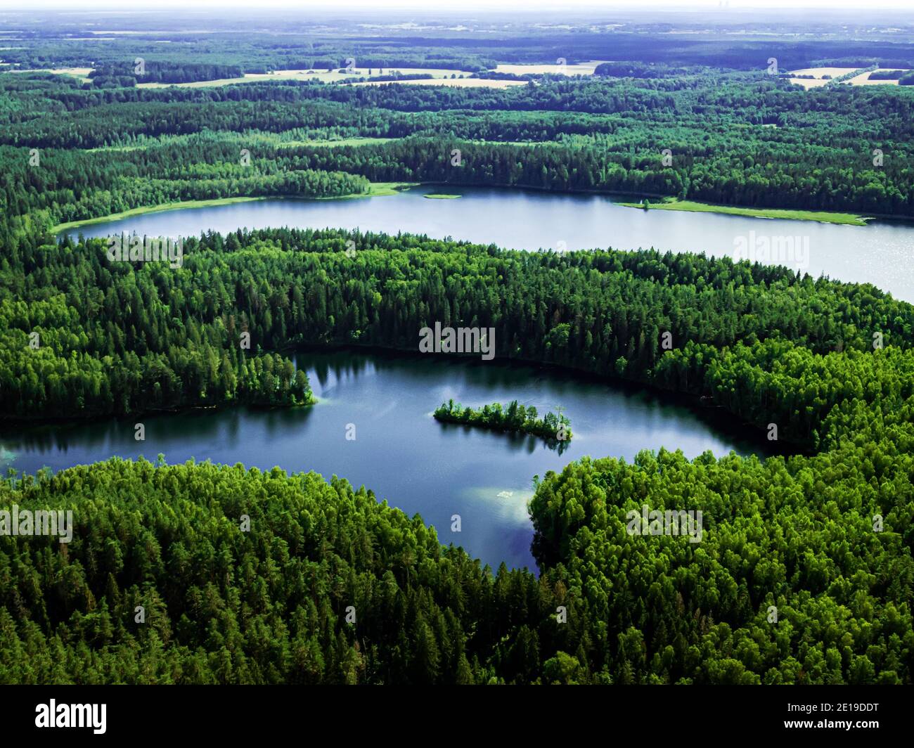 Top view of a forest lake Stock Photo - Alamy