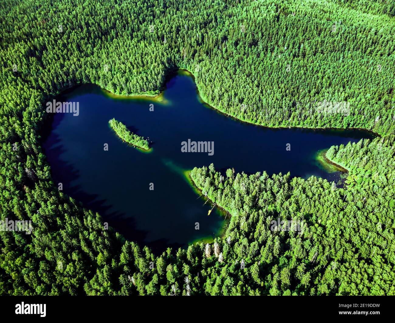 Amazon river delta aerial hi-res stock photography and images - Alamy