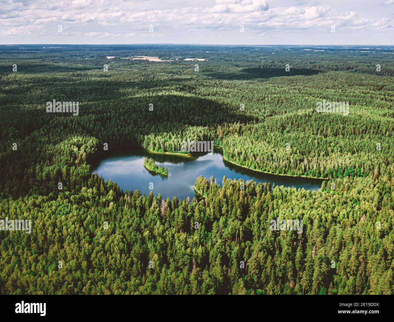 Top view of a forest lake Stock Photo - Alamy