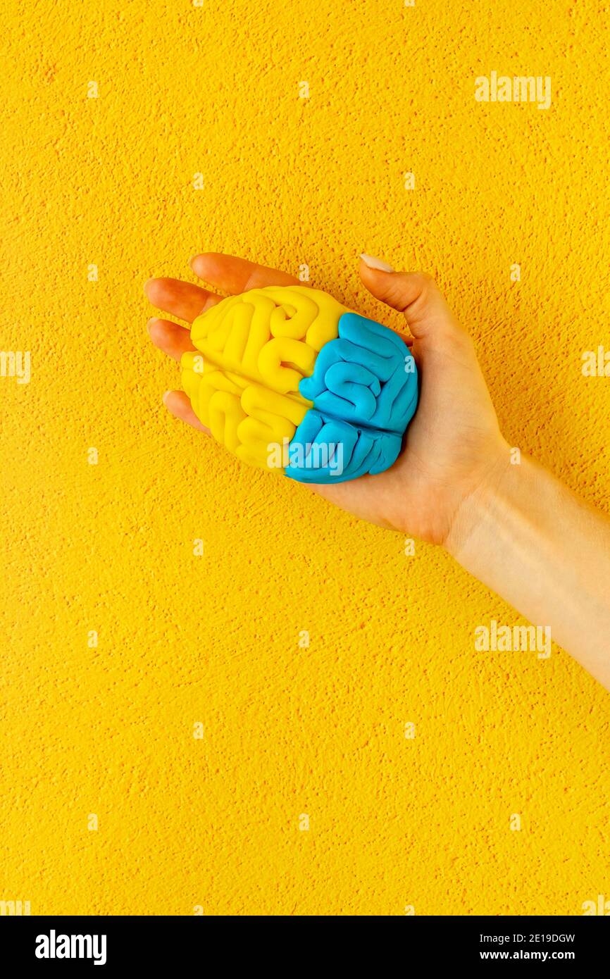 Idea concept. Use your brain. Model of clay in the hand, top view Stock ...