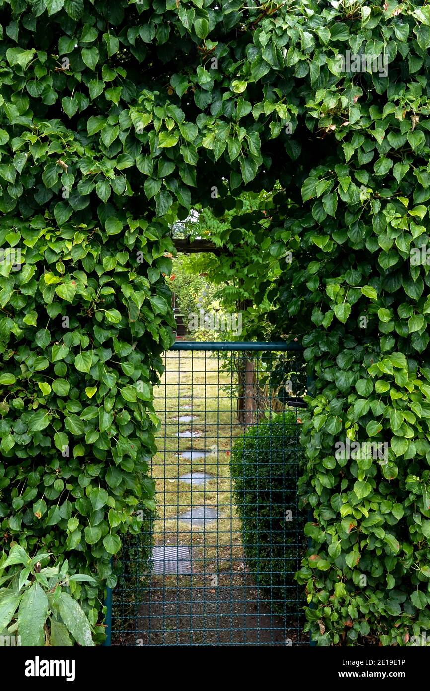 Garden gate arch hi-res stock photography and images - Alamy