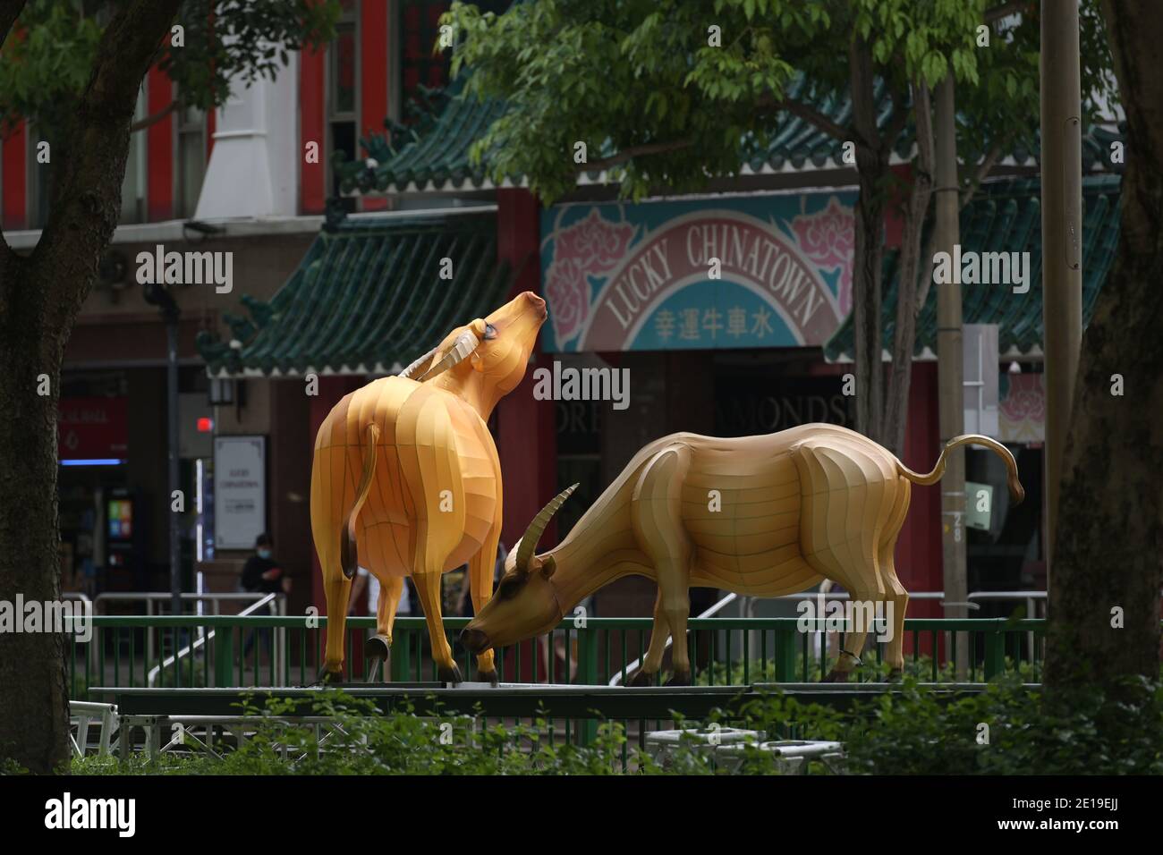 Singapore. 5th Jan, 2021. Buffalo light installations for the upcoming ...