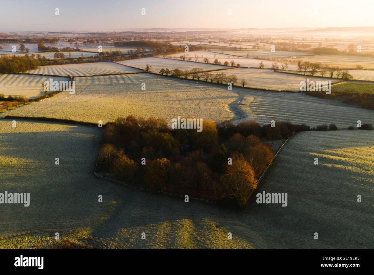 Aerial drone photo of rural countryside landscape scenery with orange ...