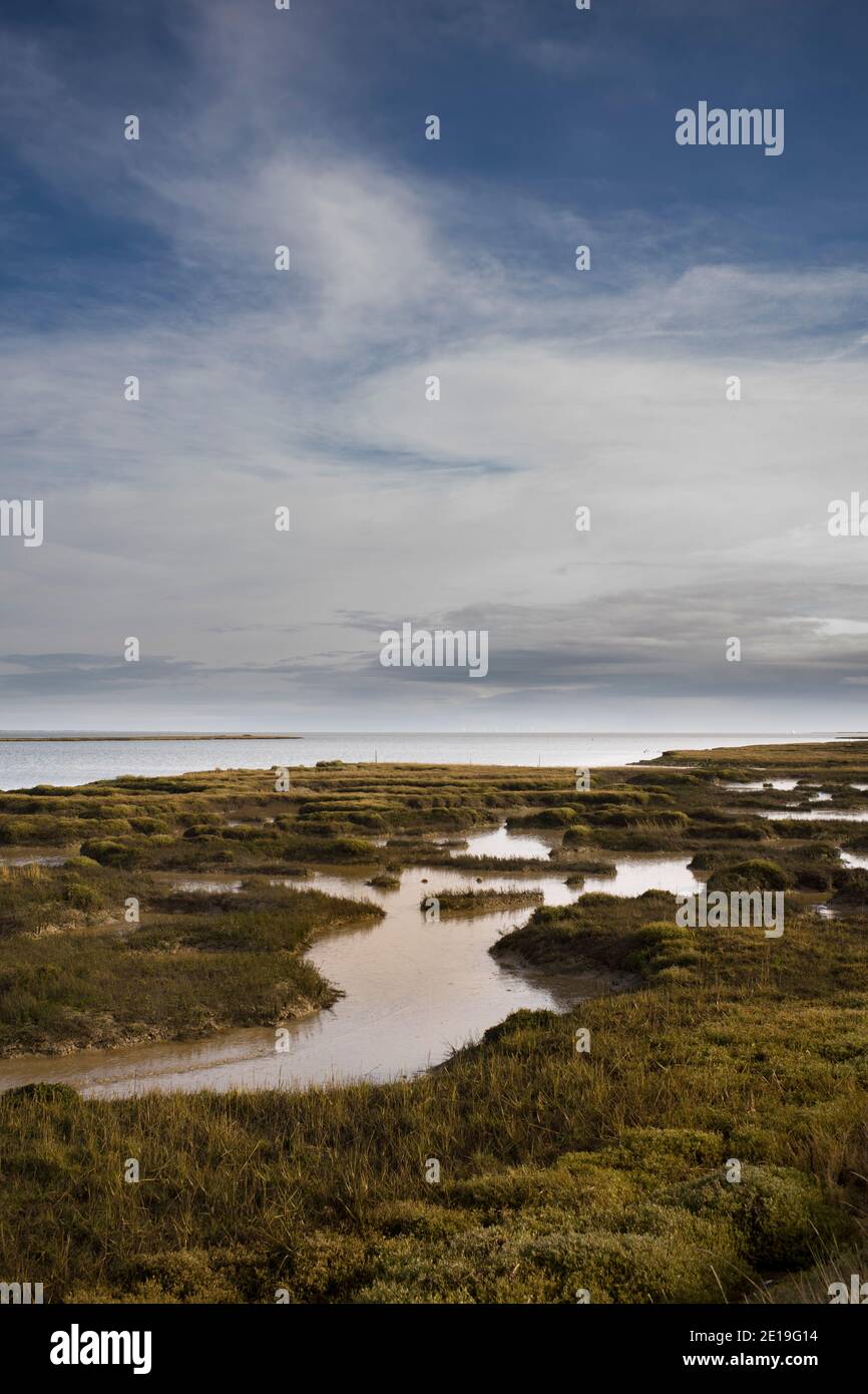 Tollesbury marshes hi-res stock photography and images - Alamy