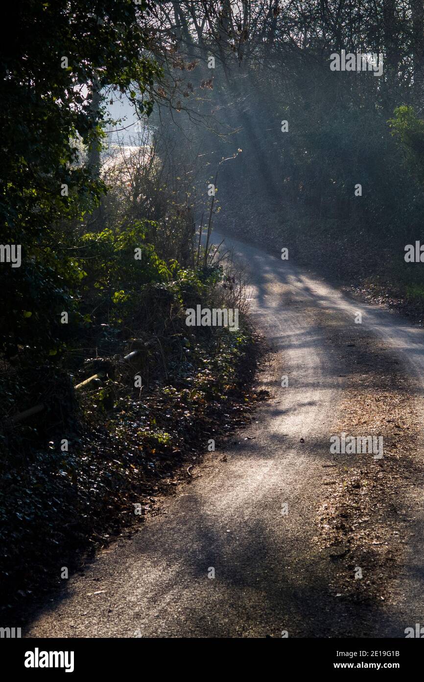 Baddow road hi-res stock photography and images - Alamy