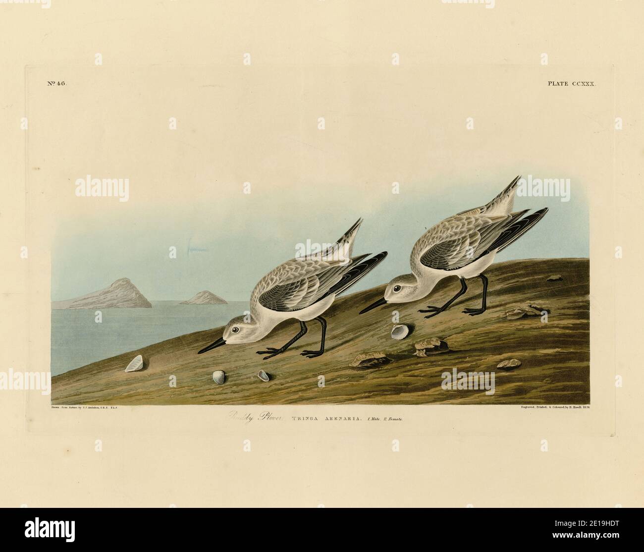 High resolution images outdoor hi-res stock photography and images - Alamy