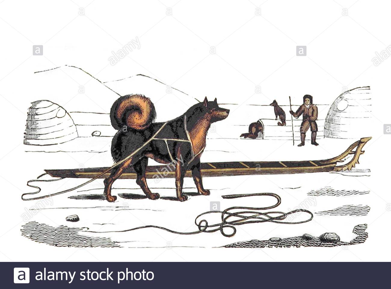 Illustration indigenous people from Cut Out Stock Images & Pictures - Alamy