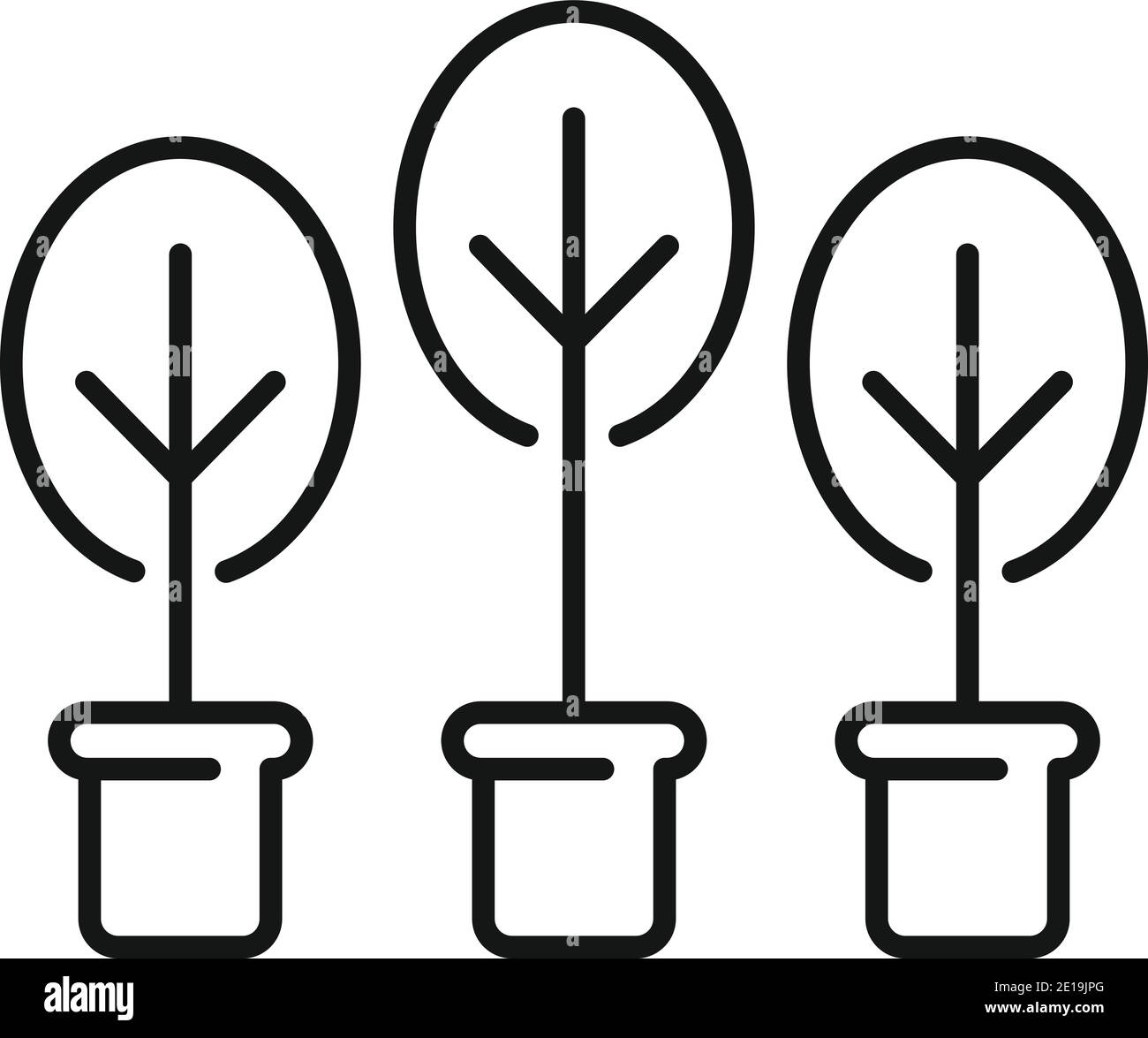 Potted palm trees Black and White Stock Photos & Images - Alamy