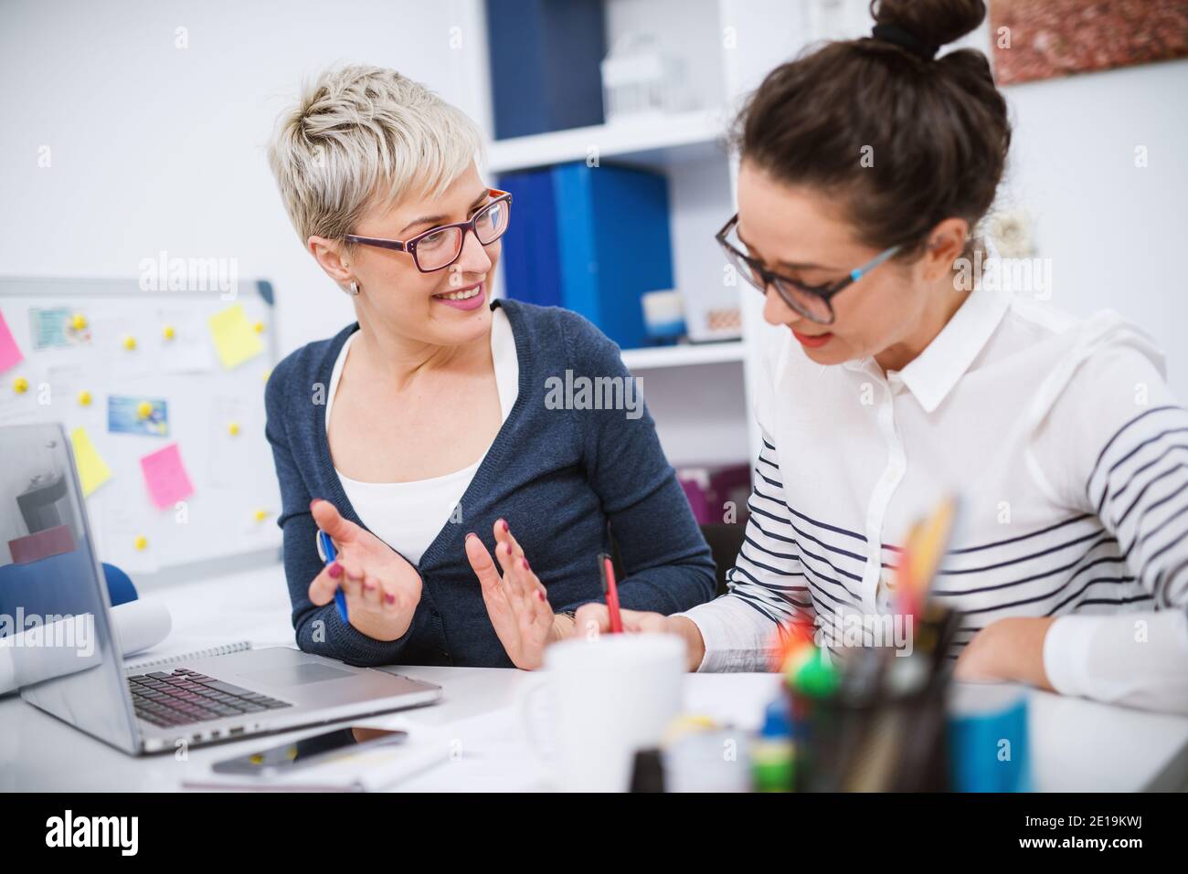 Portrait of professional middle aged women working together on projects ...