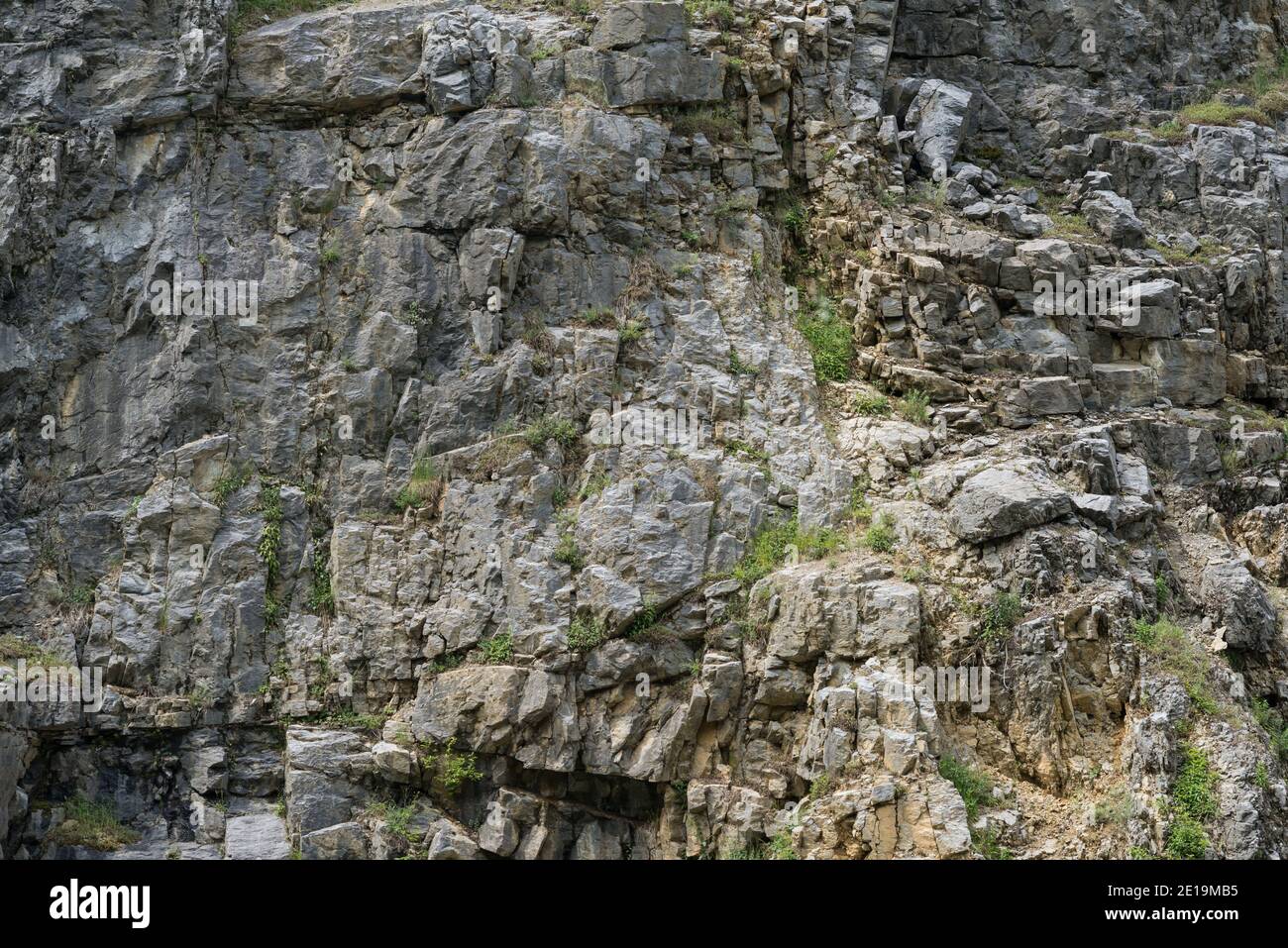Seamless Rock Face Texture