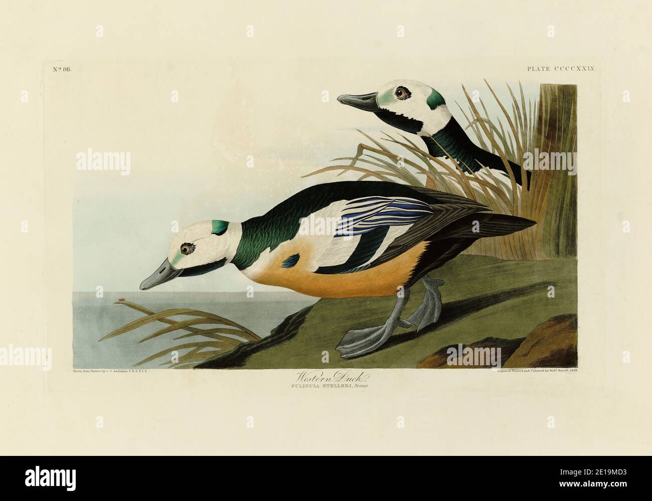 High resolution images outdoor hi-res stock photography and images - Alamy