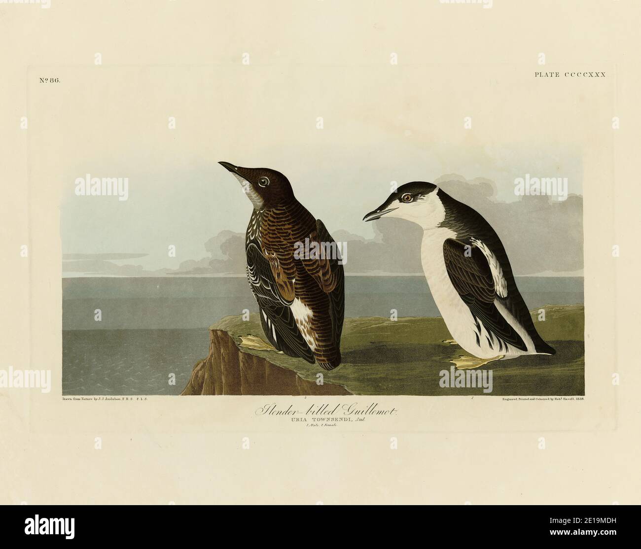 High resolution images outdoor hi-res stock photography and images - Alamy