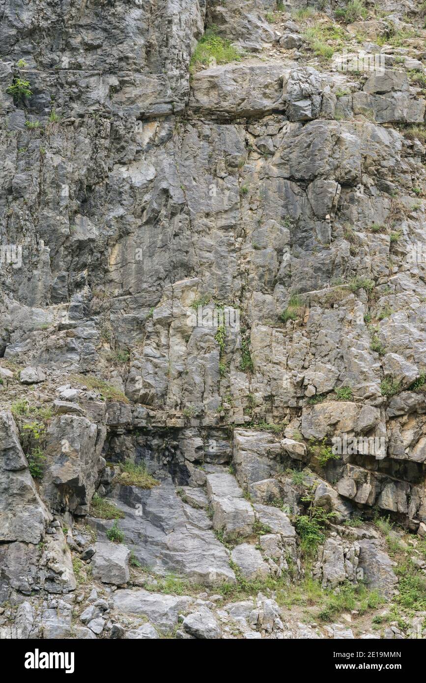 Weathered rock face texture in old stone pit with parts of green. Aged ...
