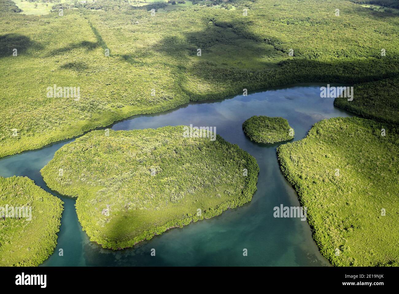 Guadeloupe: aerial view of the mangrove of the narrow sea channel ...
