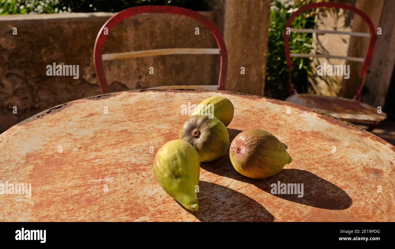 Old fig tree hi-res stock photography and images - Alamy