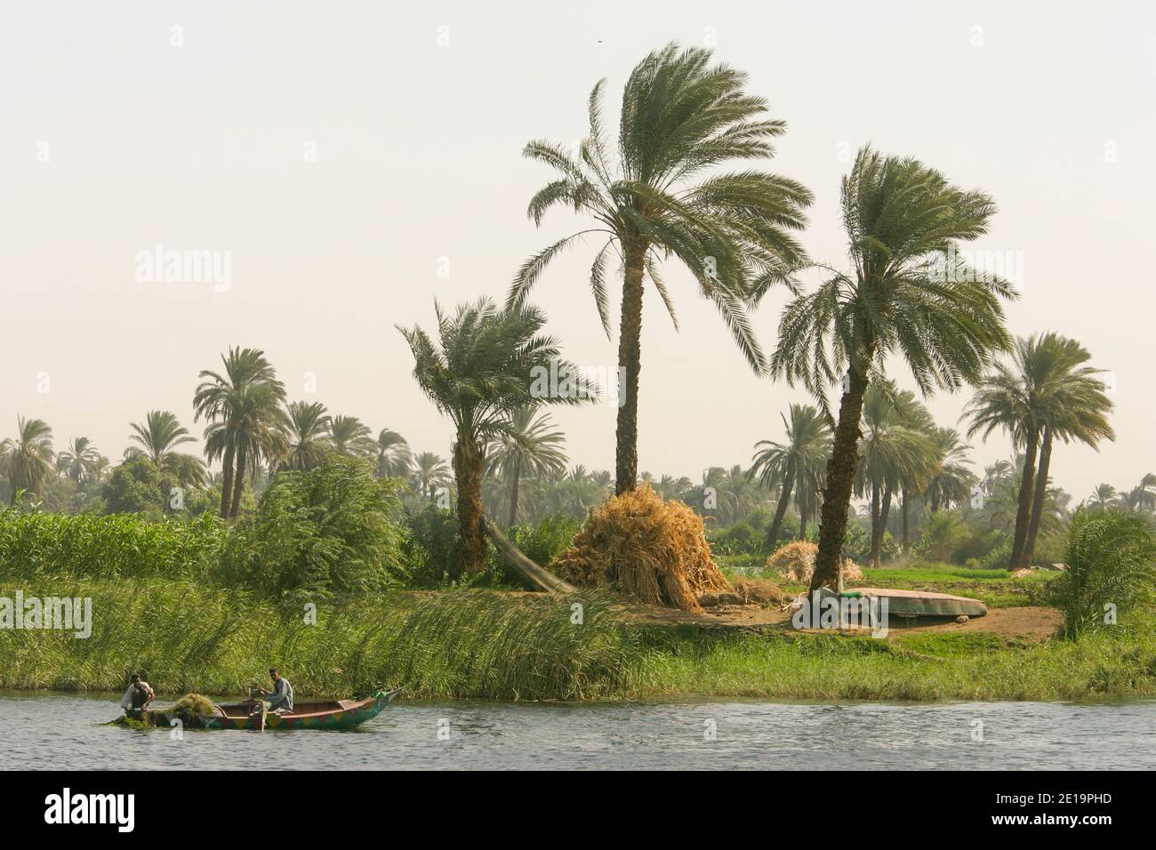 DAILY LIFE ON NILE RIVER BANKS Stock Photo - Alamy