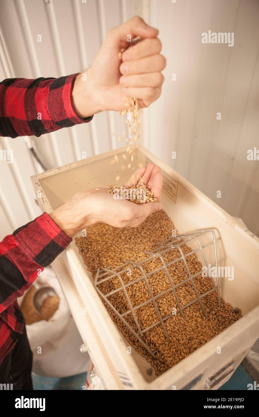 Barley mill microbrewery hi-res stock photography and images - Alamy